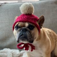 China Y-Z Dog Clothing Accessories Handmade Dog Beanie with Pom Pom Crochet Knit Dog Hat Gift for sale