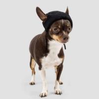 China Y-Z Wholesale custom logo designer knitted adjustable winter warm funny dog skull hat for sale