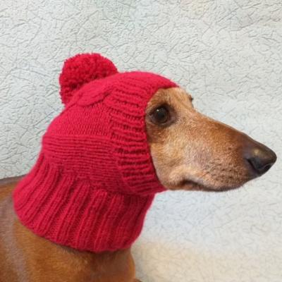 China Y-Z Dog Hat with Big Pompom Knitted Dachshund Hat with Big Pompom Clothes Dachshunds for sale