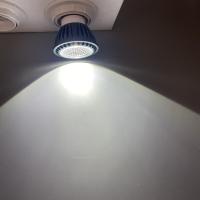 China 20000H 3W Sun Lamp For Turtle Amphibians Tortoise Heat Lamp Bulb for sale
