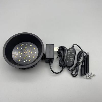China LED UVB Reptile Light 5W For Reptiles Birds Supports Vitamin D3 Synthesis And Calcium Metabolism for sale
