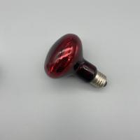 China Red Terrarium Heat Lamp Bulb R63 For Brooder 75 Watt Uvb Bulb for sale