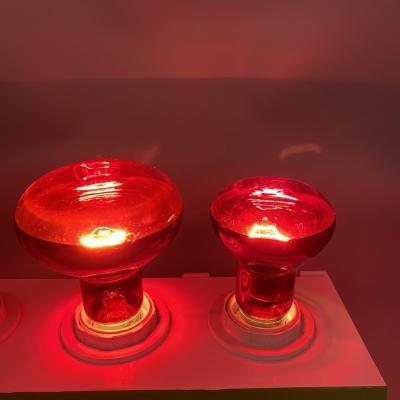 China Collesun E26 E27 Infrared Turtle Heat Lamp 220V 110V 75 watt reptile bulb for sale