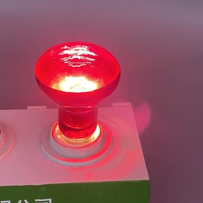 China Night Infrared Reptile Basking Light E26 E27 100 Watt Reptile Bulb for sale