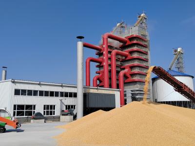 China Tailor Drying Programs To Your Crop And Climate Grain Dryer Machine With Customizable Burners / Heat Furnaces for sale