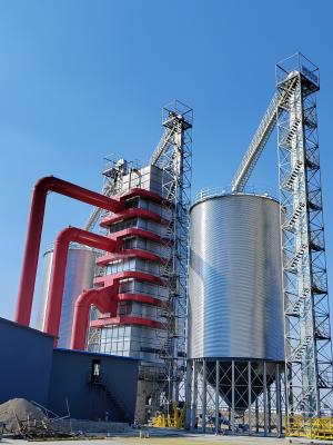 China Hot Air Temperature C 65～160 Grain Drying Equipment Customizable For Business Need for sale