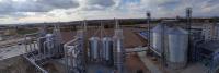 China High Capacity Grain Dryer Machine 60-1200 T/D with Clean Hot Air Heating Medium for sale