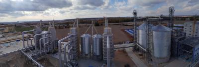 China High Capacity Grain Dryer Machine 60-1200 T/D with Clean Hot Air Heating Medium for sale