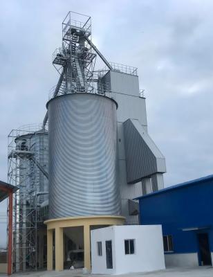 China Moisture Reduction Of 3-15% Paddy Dryer Machine With 60-1000 T/D Handling Capacity And 1-Year After-Sales Support for sale