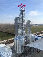 China Smart Agriculture Integration Solution 100-1000 T/D Handling Capacity Paddy Dryer Machine with Natural Gas Fuel Compatibility for sale