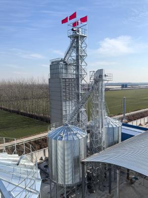 China Smart Agriculture Integration Solution 100-1000 T/D Handling Capacity Paddy Dryer Machine with Natural Gas Fuel Compatibility for sale
