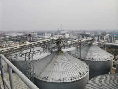 China Hermetic Sealing And Anti-Damage Technology Steel Grain Silo For Crucial Preservation In Agriculture Industries for sale