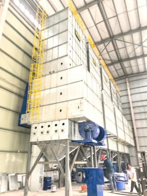 China Hot Air Temperature 45-75°C Recirculating Paddy Dryer Mobile Compatibility Optional Trailer Mount for sale