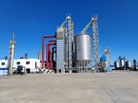 China Continuous Grain Drying Tower100-1500 Ton/Day Low Temp Dryer for Paddy Corn Wheat for sale