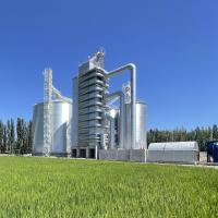 China Continuous Grain Drying Tower100-1500 Ton/Day Low Temp Dryer for Paddy Corn Wheat for sale
