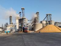 China Gentle low-temperature drying preserves superior grain quality for sale