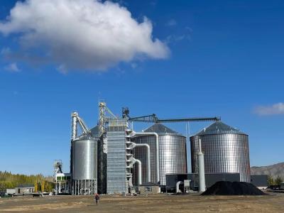China Efficient continuous low‑temperature drying reducing breakage  preserving grain quality  energy‑saving  intelligent and stable operation for sale