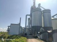 China Continuous grain drying with quality preservation  energy-saving high efficiency and low breakage for sale