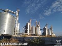 China Continuous grain drying with quality preservation  energy-saving high efficiency and low breakage for sale
