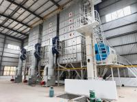 China Recirculating drying  tempering  small footprint low investment  good grain quality for sale
