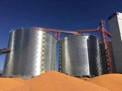 China Prefabricated galvanized steel silo intelligent grain storage  low loss & small footprint for sale
