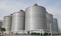 China Prefabricated galvanized steel silo intelligent grain storage  low loss & small footprint for sale