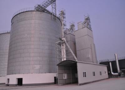 China Stable Performance Batch Grain Dryer 500T/D Wheat Dryer Machine for sale