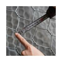 China Galvanized 2mX1mX1m Gabion Box with 80 X 100mm PVC Coated Hexagonal Woven Wire Mesh for sale