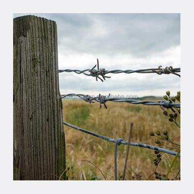 China 7.5cm-15cm Barb Distance Advanced Hot Dipped Galvanized Barbed Wire Coil for Supply for sale