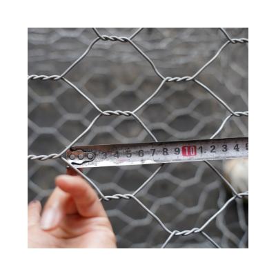China 60x80mm Galvanized/PVC Coated Hexagonal Wire Netting Gabion Box for Your Sample Needs for sale