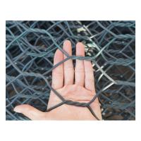 China 60x80mm Galvanized/PVC Coated Hexagonal Wire Netting Gabion Box for Your Sample Needs for sale