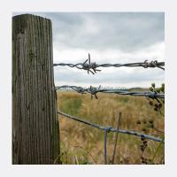 China Galvanized Steel Wire Concertina Razor Wire Security Fencing with 1.5-3cm Barb Length for sale