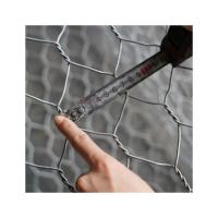 China Professional Manufacture 80*100mm Gabion Cage with ISO9000 Certificate and Woven Mesh for sale