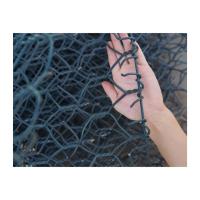 China Professional Manufacture 80*100mm Gabion Cage with ISO9000 Certificate and Woven Mesh for sale