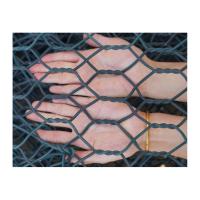 China Professional Manufacture 80*100mm Gabion Cage with ISO9000 Certificate and Woven Mesh for sale