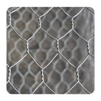 China Newest Hexagonal Wire Basket Retaining Wall System with Customizable Welding Pattern for sale