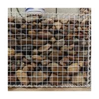 China Fence Mesh PVC Coated Galvanized 2x1x1 Gabion Box Basket 80x100mm for Garden Decoration for sale