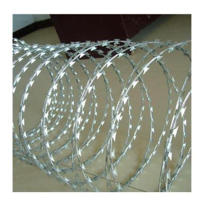 China Galvanized Razor Barbed Wire with 7.5cm-15cm Barb Distance and 1.6-3.2mm Wire Diameter for sale