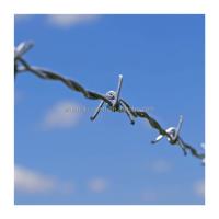China 20m/25m/30m/50m Galvanised Steel Razor Barbed Wire Security Fencing Concertina Wire for sale