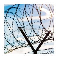 China 1.5-3cm Barb Length Concertina Razor Wire with Security Fencing and Razor Barbed Wire for sale