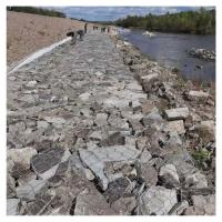 China Gabion Box Wire Fencing PVC Coated Gabion Wire Mesh with 2.0mm-4.0mm Wire Gauge and Sample for sale