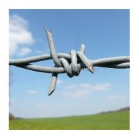 China Two Wire Twist Barbed Wire of Hot Dip Zinc Plating Iron for Farm and Highway Fencing for sale