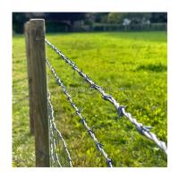 China 7.5cm-15cm Barb Distance Cross Razor Hot Dip Zinc Plating Razor Barbed Wire for Farm for sale