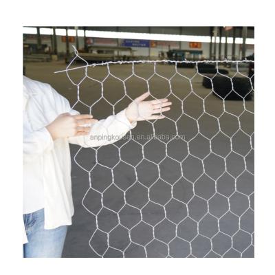 China Hexagonal Stone Gabion Wire Mesh for Garden Decoration and Retaining Wall Construction for sale