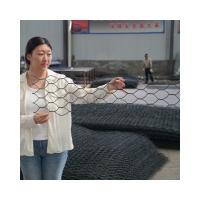 China Customized 2*1*1m Galvanized PVC Coated Gabion Boxes for Protecting Retaining Walls for sale