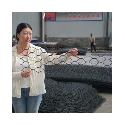 China Customized 2*1*1m Galvanized PVC Coated Gabion Boxes for Protecting Retaining Walls for sale