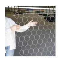 China Customized 2*1*1m Galvanized PVC Coated Gabion Boxes for Protecting Retaining Walls for sale