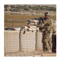 China Beige Green Defense Barrier Sand Defensive Barrier Bastion Wall with Welding Service for sale
