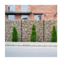 China Customizable Galvanized Welded Gabion Stone Cage Design with PVC Coated Iron Wire for sale