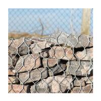 China 80x100mm Aperture PVC Coated Gabion Box Wire Fencing for TT/Western Union Payment Term for sale